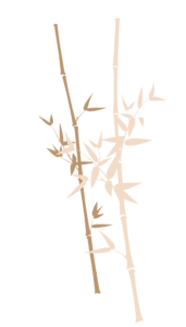 About Us | Classical Concepts